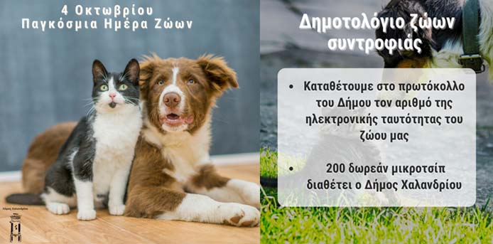 Δημοτολόγιο για τα ζώα συντροφιάς δημιουργεί ο Δήμος Χαλανδρίου – Θα ...